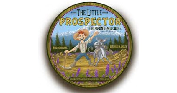 The Little Prospector